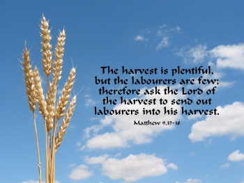 The Harvest Through Jesus’ Eyes – revPACman