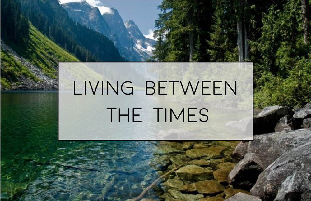 Living Between The Times – revPACman