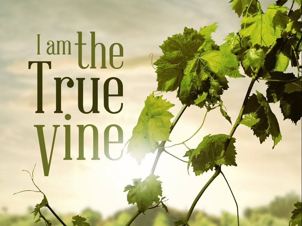 I Am The True Vine – revPACman