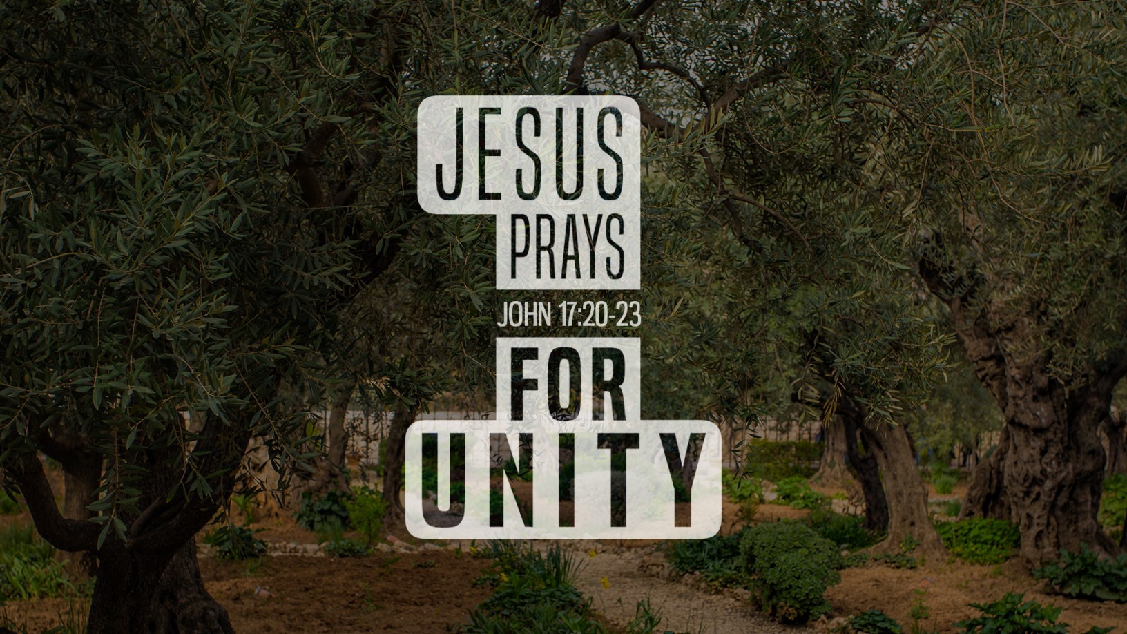 Jesus Prays For Unity – revPACman
