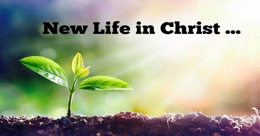 New Life In Christ – revPACman