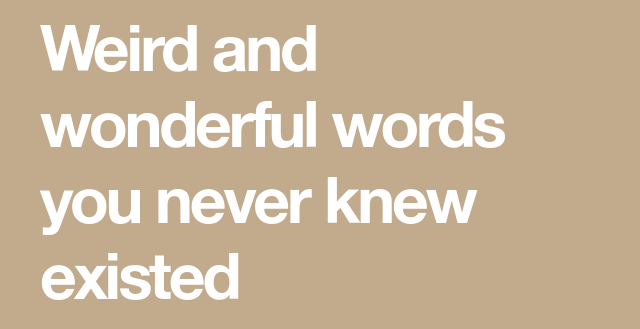 50 English Words you never knew existed – revPACman